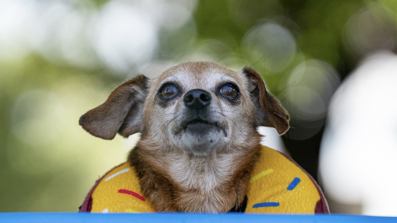 Twix - 15/10 Foundation