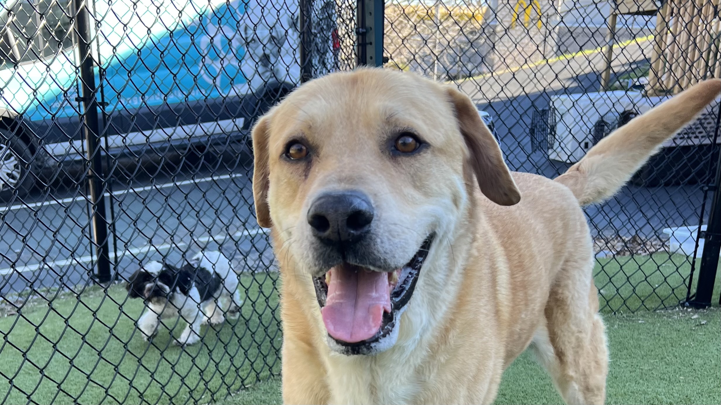 Max - 15/10 Foundation