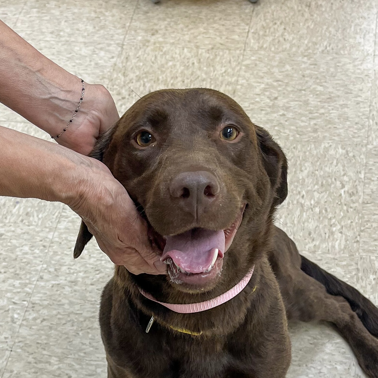 Essie - 15/10 Foundation