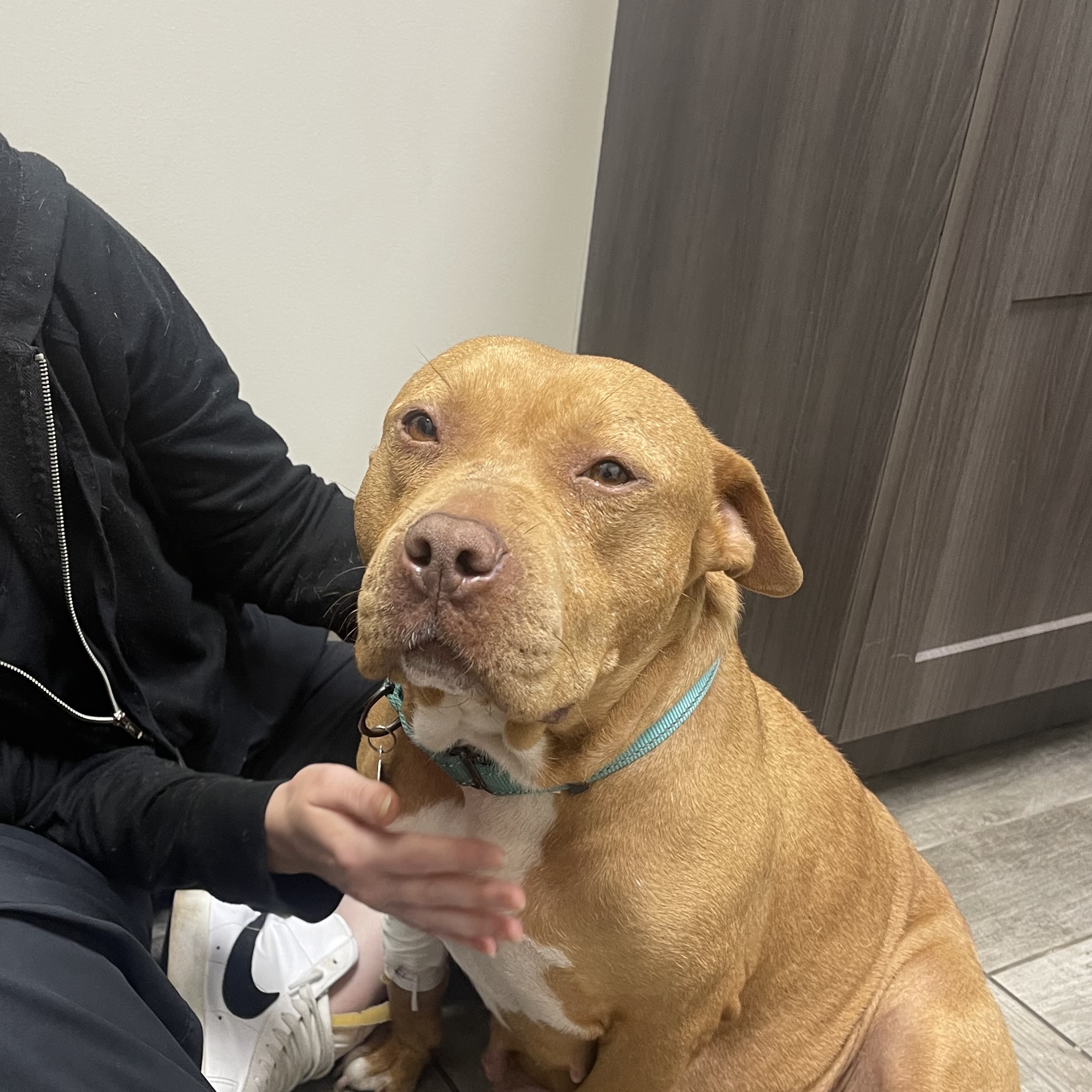 Mama Dumpling - 15/10 Foundation