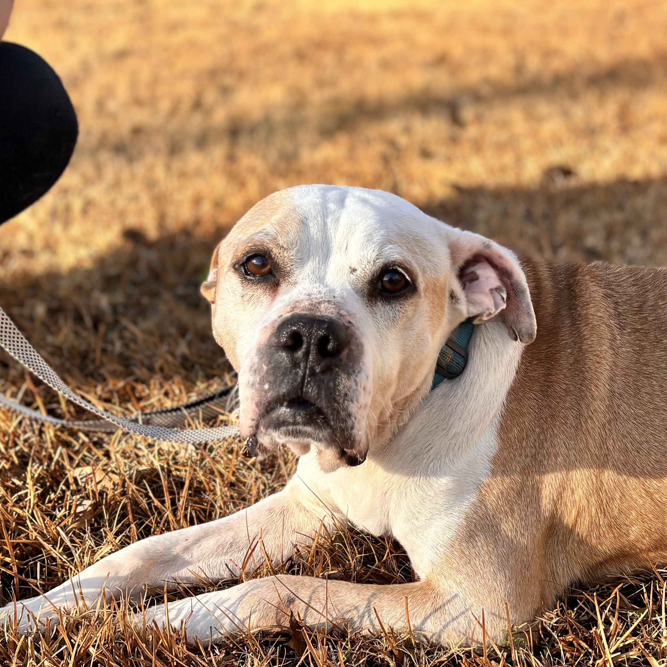 Carl - 15/10 Foundation