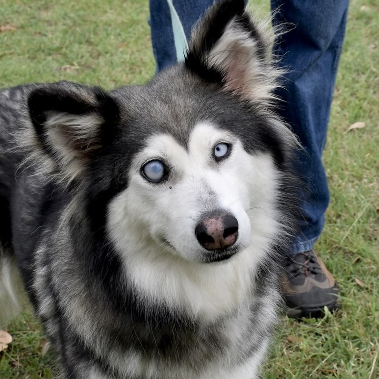 Oksana - 15/10 Foundation